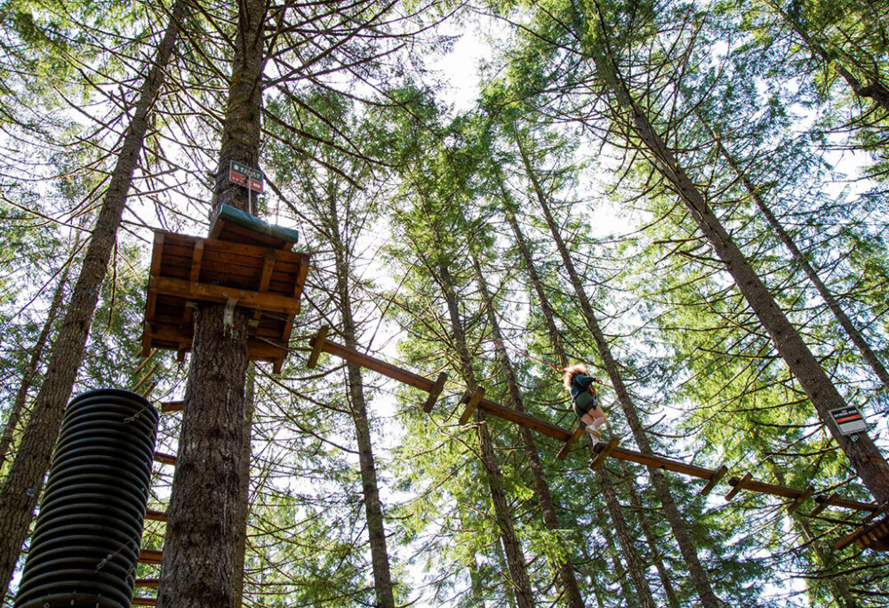 Ziplines, Gliders and Flights | Oregon's Tualatin Valley