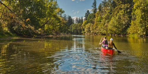 PADDLE ALONG THE TUALATIN RIVER NATIONAL WATER TRAIL - Explore Tualatin ...